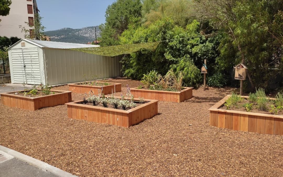 Conférence "Transformer les cours d'écoles en jardin" - CAUE Var